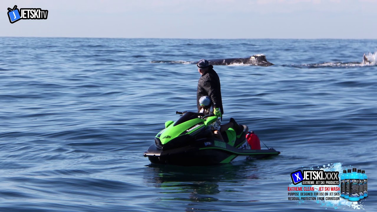 Cook Island & Tweed River - Sunday 15th July '18 - YouTube
