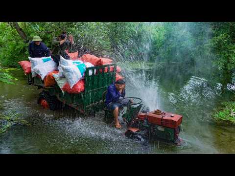 Binh and Ngoc's Hardworking Life | Caring for the Farm and Transporting Huge Loads of Corn