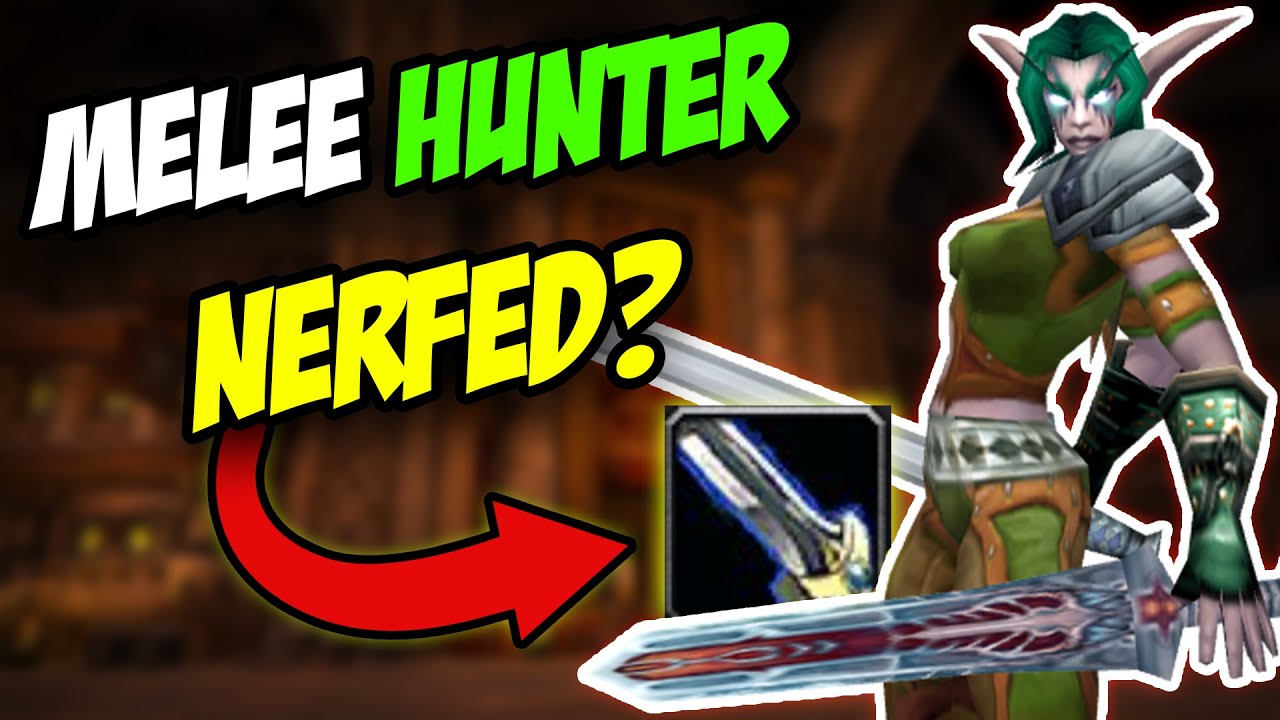 Did Melee Hunter Get Nerfed? What Is Normalization? - YouTube