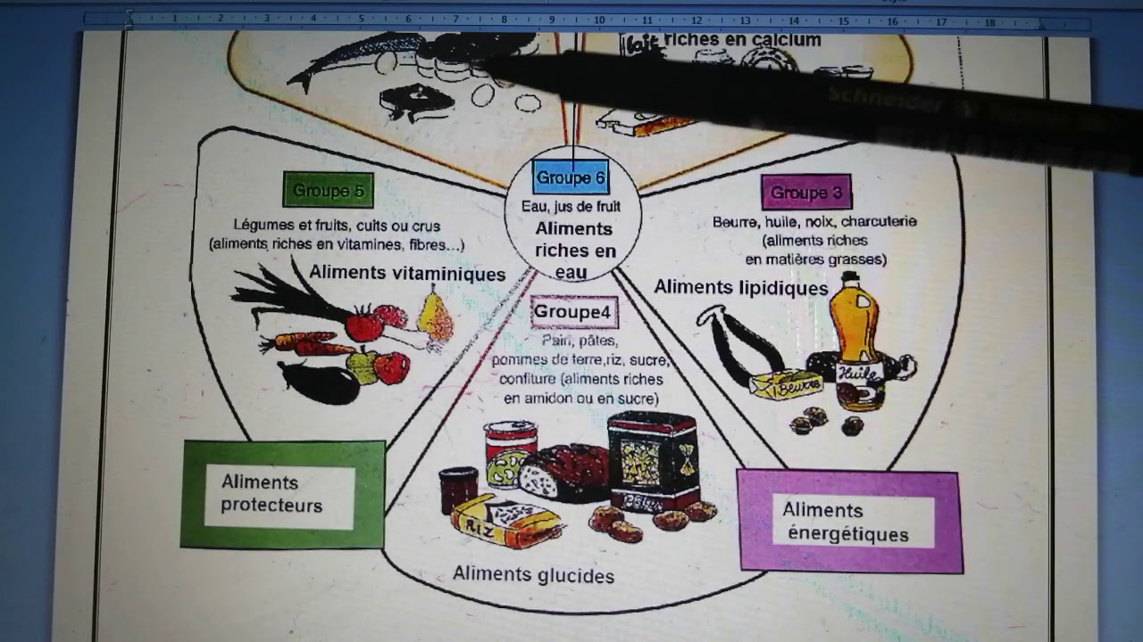 SVT 3AS Col : La classification des Aliments composés - YouTube