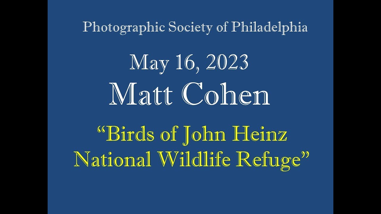 Matt Cohen "Birds of John Heinz National Wildlife Refuge" - May 16 ...