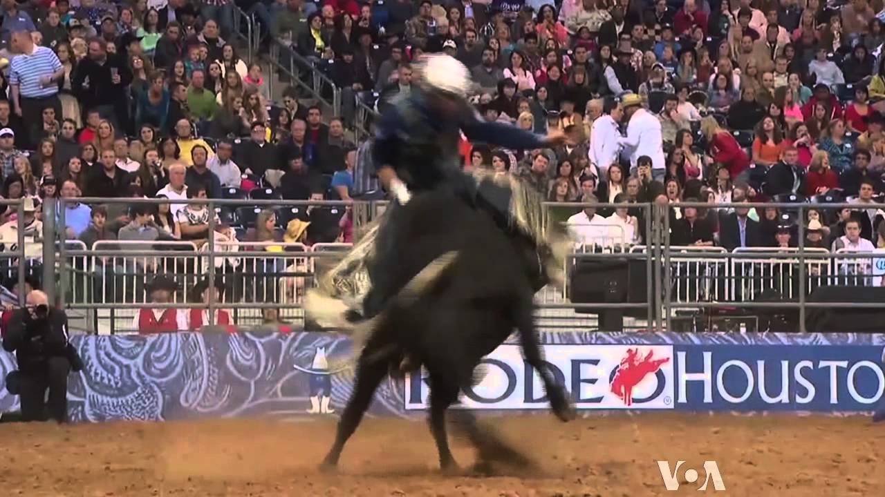Houston Rodeo Seeks to Minimize Injuries in Dangerous Sport - YouTube