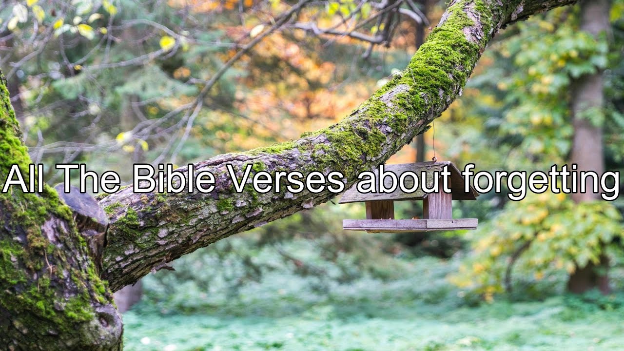 What does the Bible Say About forgetting - All the Bible Verses About ...