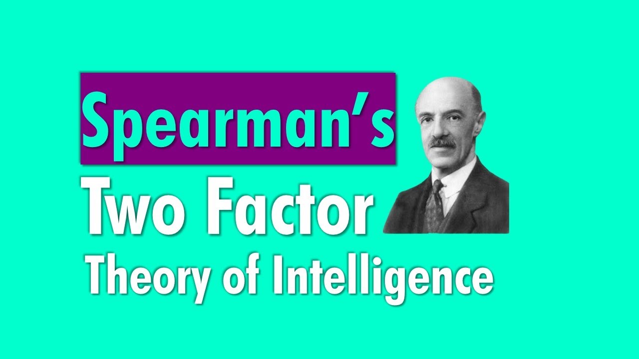 Spearman s Two factor Theory Of Intelligence Theories Of spearman-s-two-factor-theory-of-intelligence-theories-of