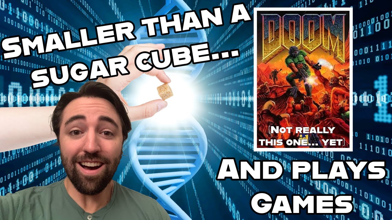 How scientists built the first, living, DNA-based computer - YouTube