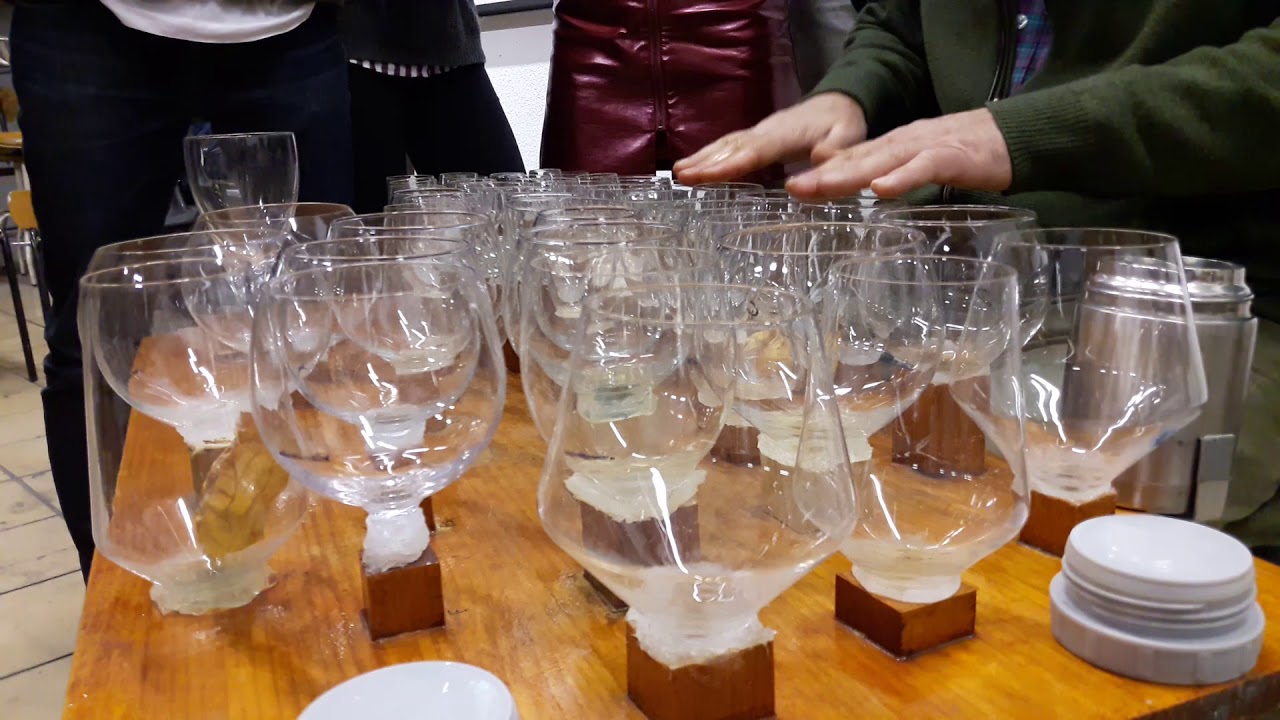 Música con Copas - YouTube