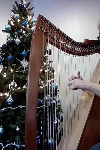 I heard the bells on Christmas Day - 60 string Double Harp played by ...
