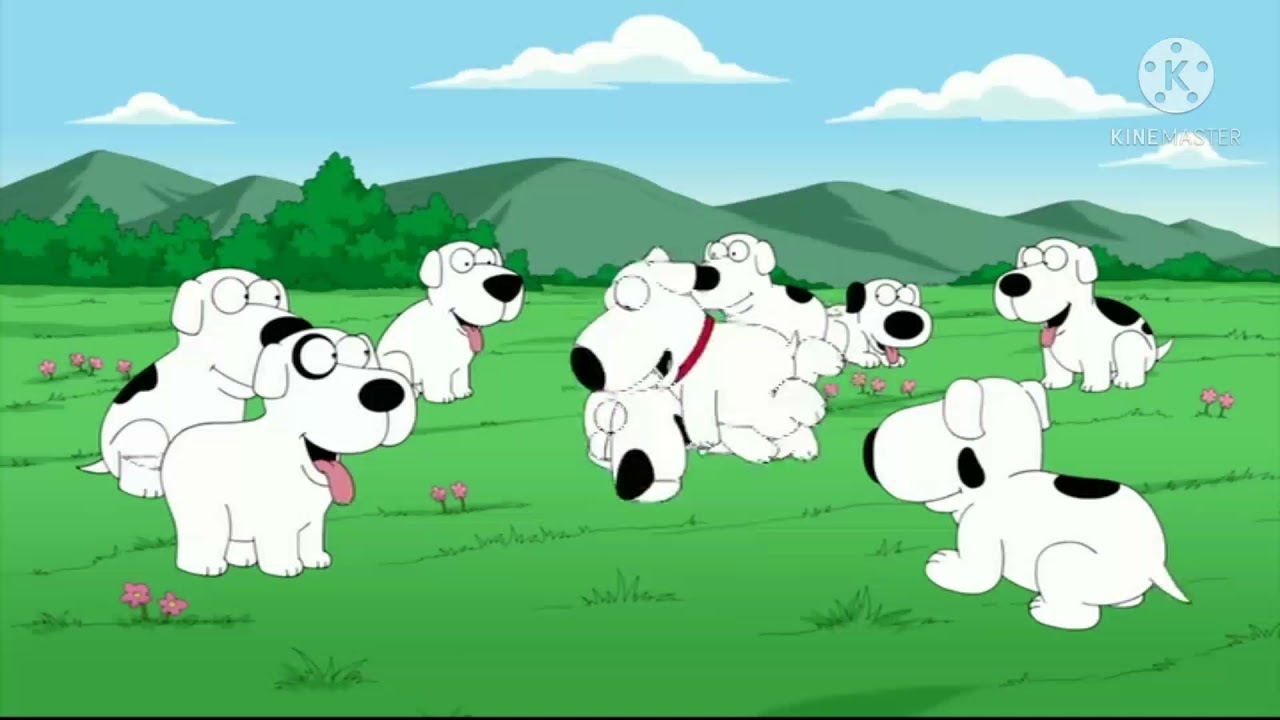 Family Guy S11E13 clip: Brian Griffin as a puppy - YouTube