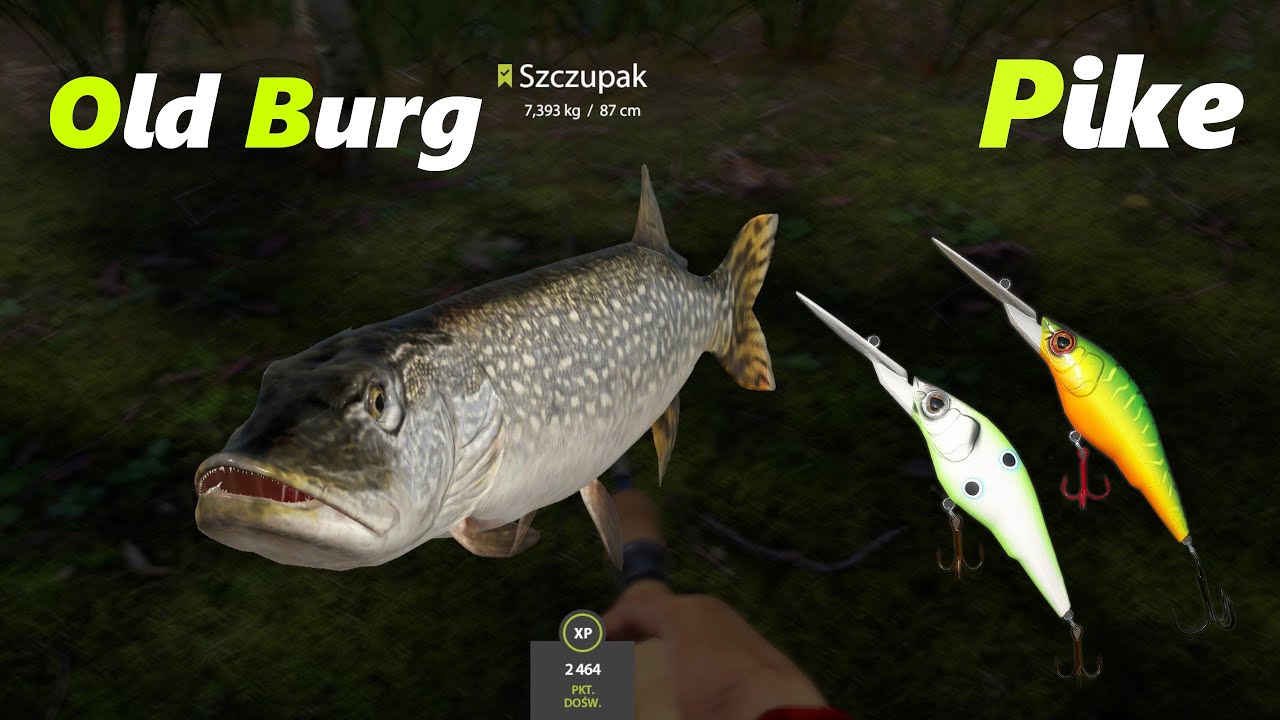 Old Burg - PIKE SPOT SPIN | Russian Fishing 4 RF4 #128 - YouTube