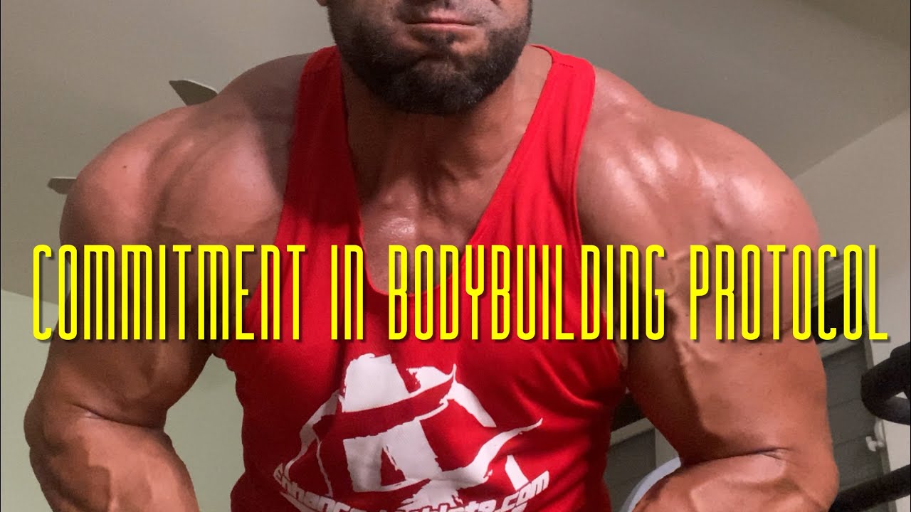 Commitment in bodybuilding | Coaching | Clients | Protocol | Enhanced ...