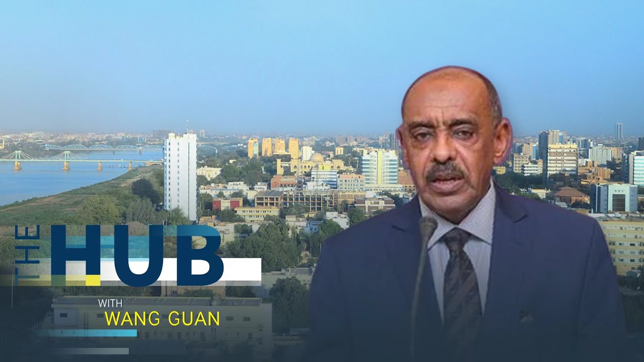 Exclusive with Sudan's FM Ali Al-Sadiq - YouTube