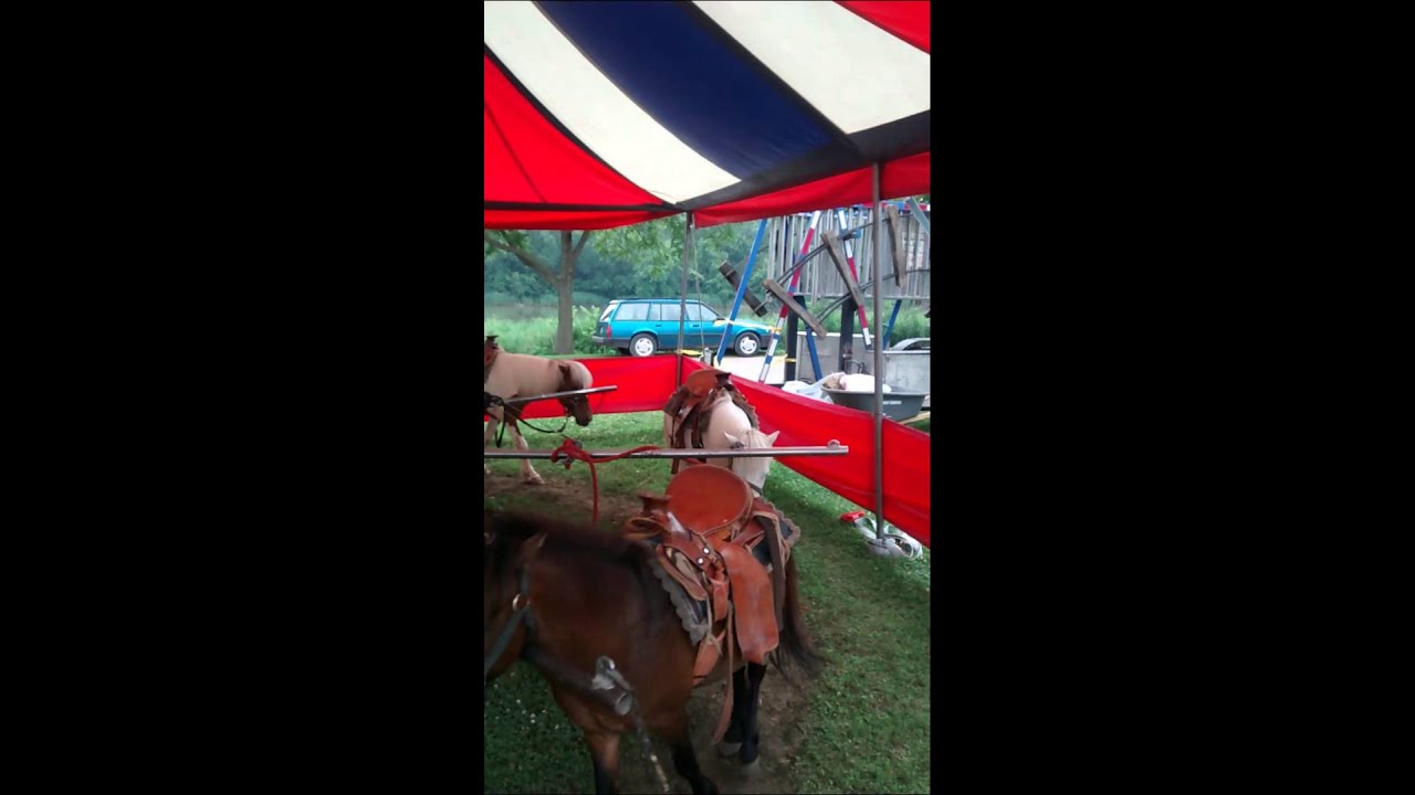 Pony rides at the circus - YouTube