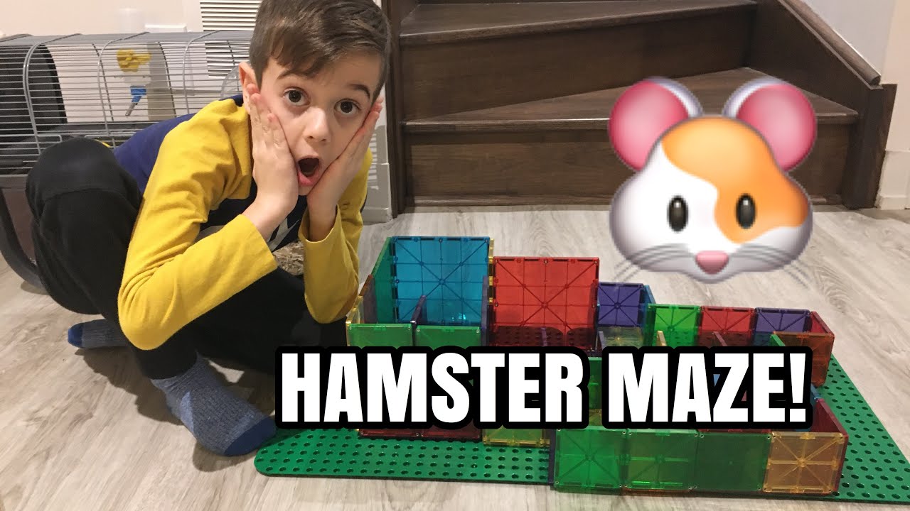 HAMSTER MAZE (crazy cool) - YouTube