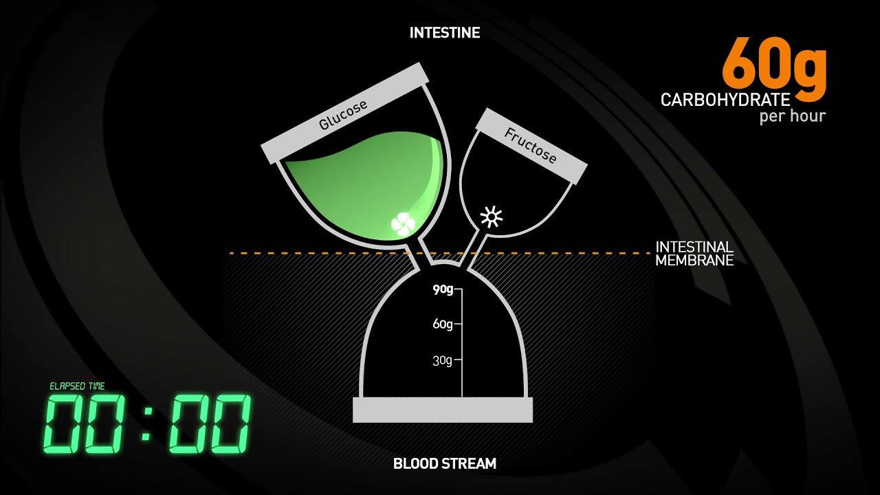 Performance Nutrition (Fueling) for Endurance Athletes - Why Fuel ...
