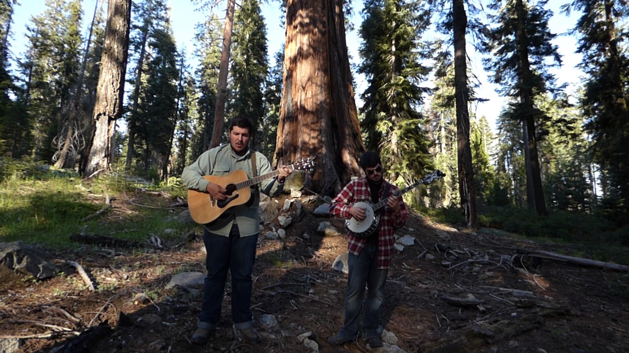 Sequoia NP--Shady Grove (Appalachian traditional) - YouTube