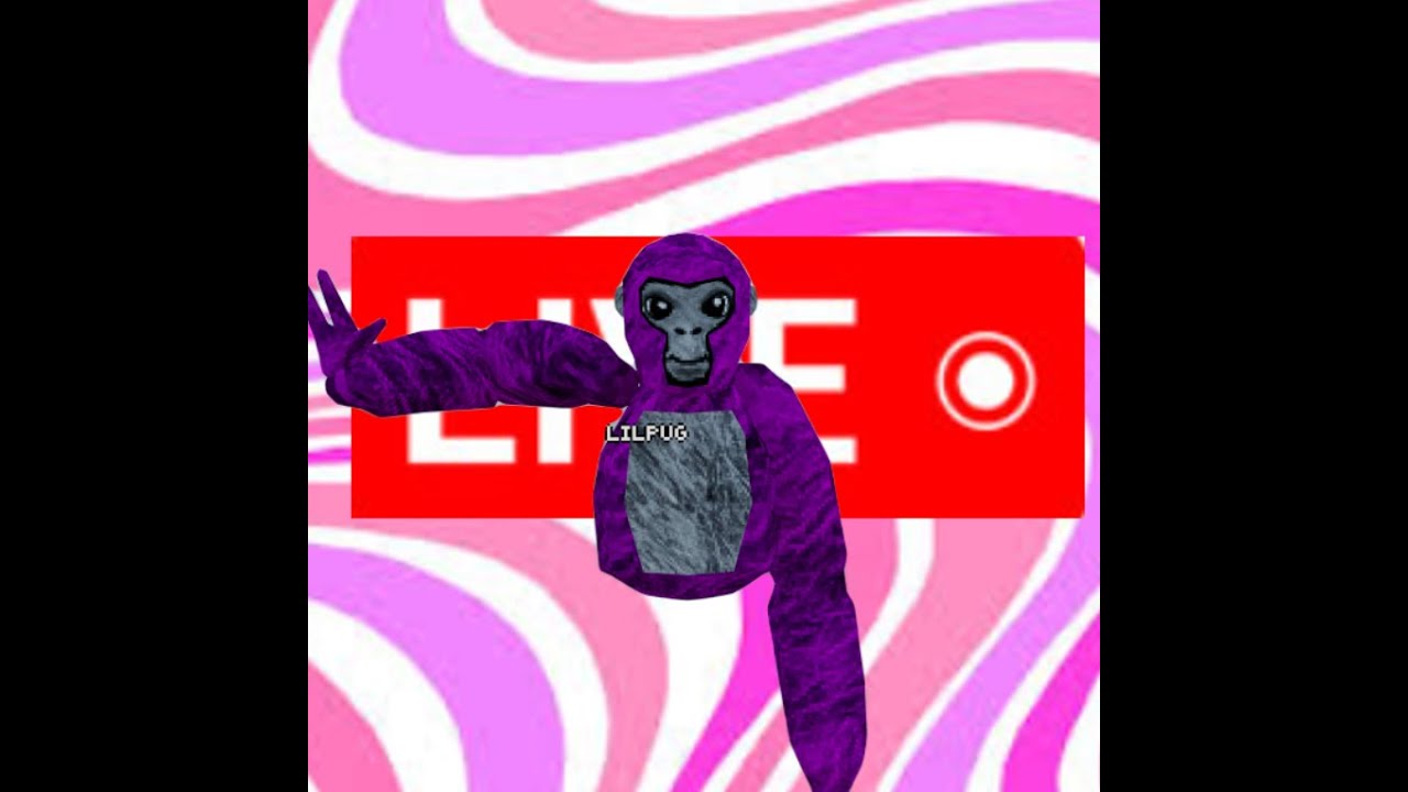 PUG IN WHOVILLE COUNTDOWN | LETS HIT 500 SUBS BEFORE 2026 - YouTube