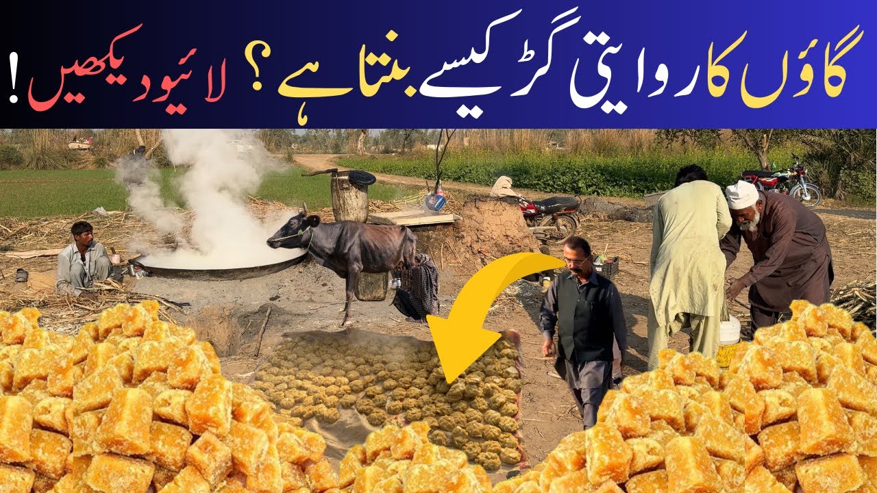 Organic Gur Making Process 2024 | JAGGERY MAKING | Gurr Making ...