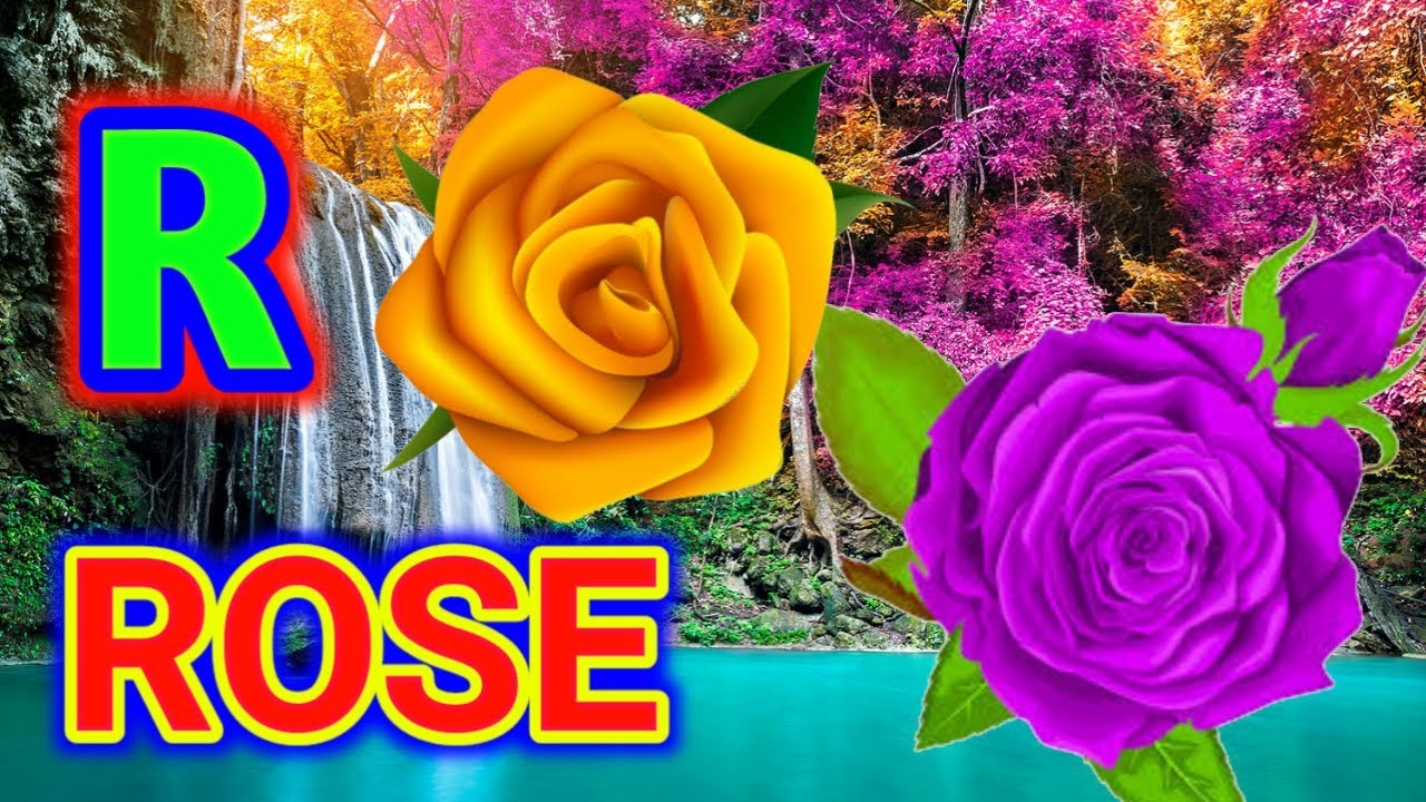 R for Rose!R for rose drawing!A for Apple!ABCD Alphabeats!क से कबूतर!अ ...