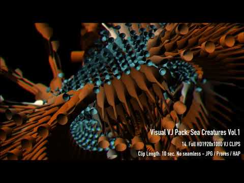 Visual Pack: Sea Creatures Vol.1