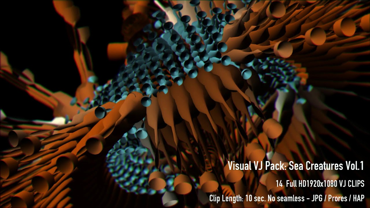 Visual Pack: Sea Creatures Vol. 1 - YouTube