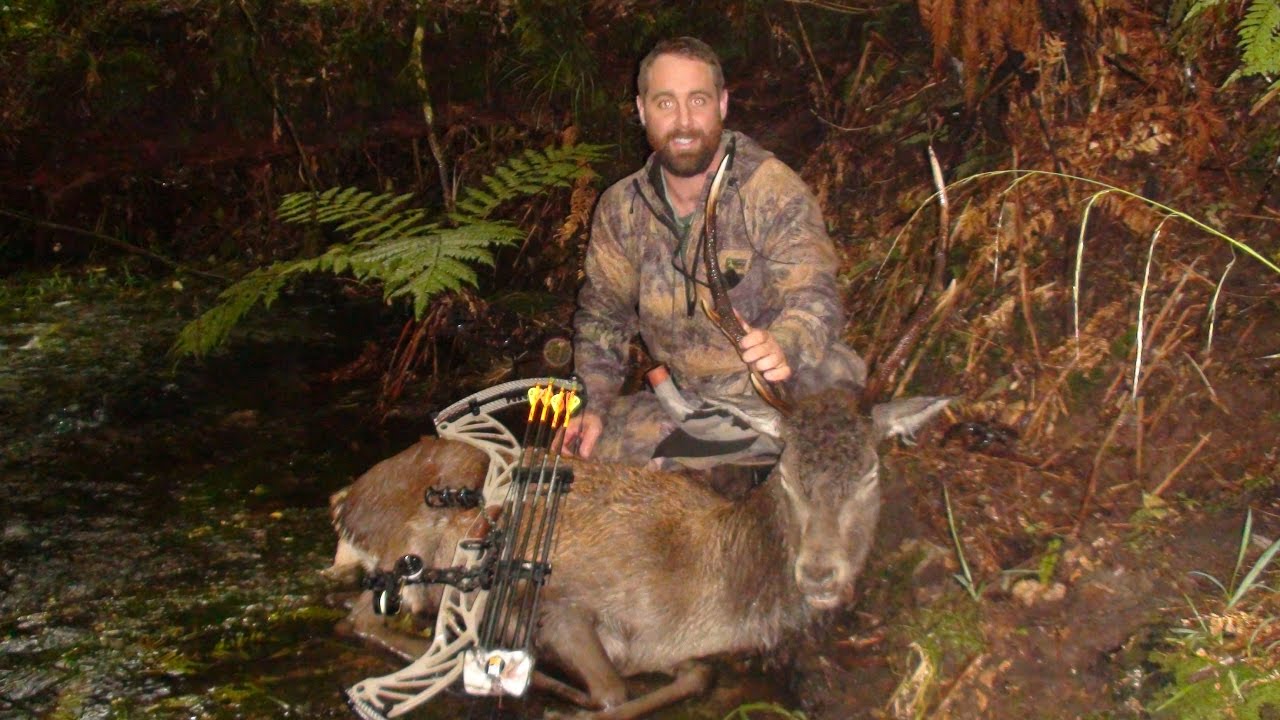 2017 Roar!! 2 Stags by bow; Kaimai hunting - YouTube