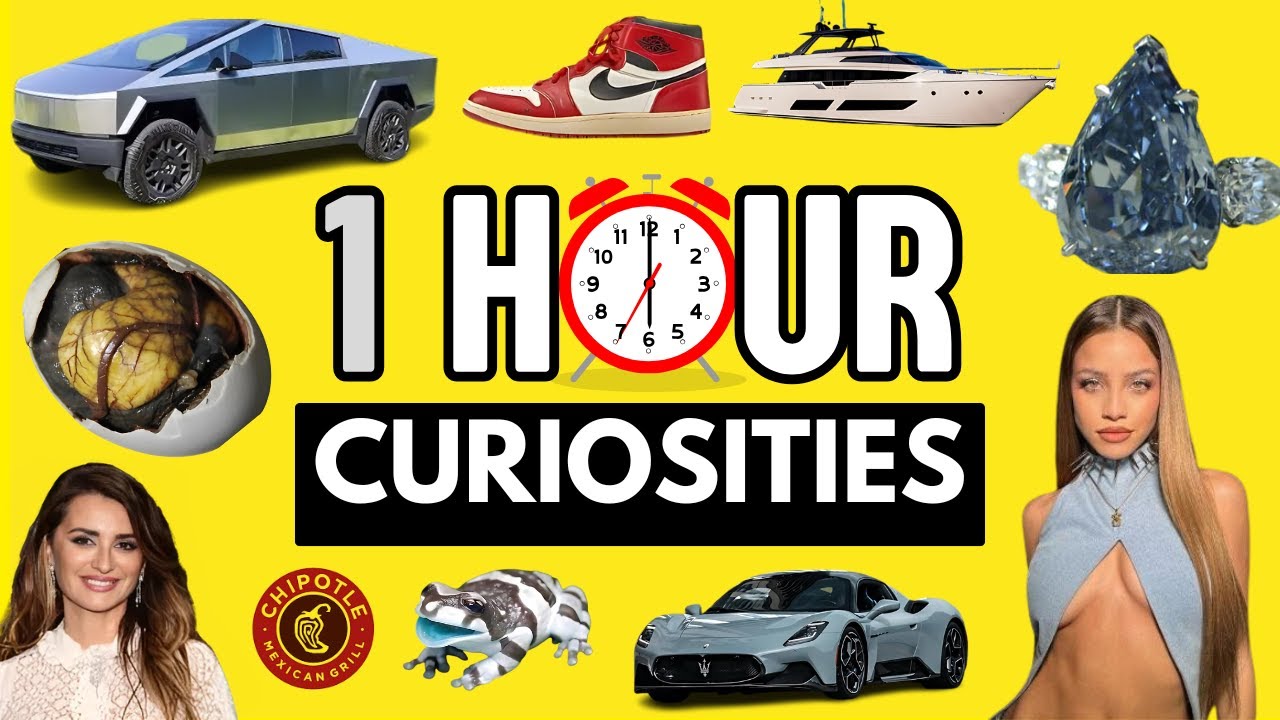 1 HOUR Of MIND-BOGGLING FACTS That Will SHOCK You ⏰| #4 - YouTube