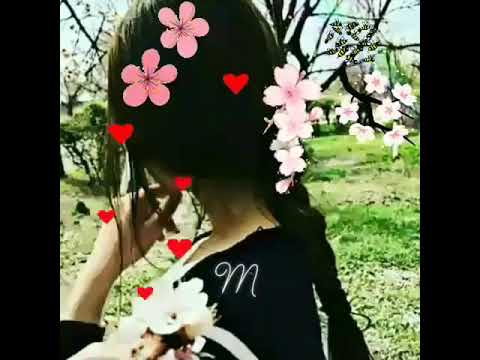 🍃Bahor  birinchi sevgim🌼💖🍃