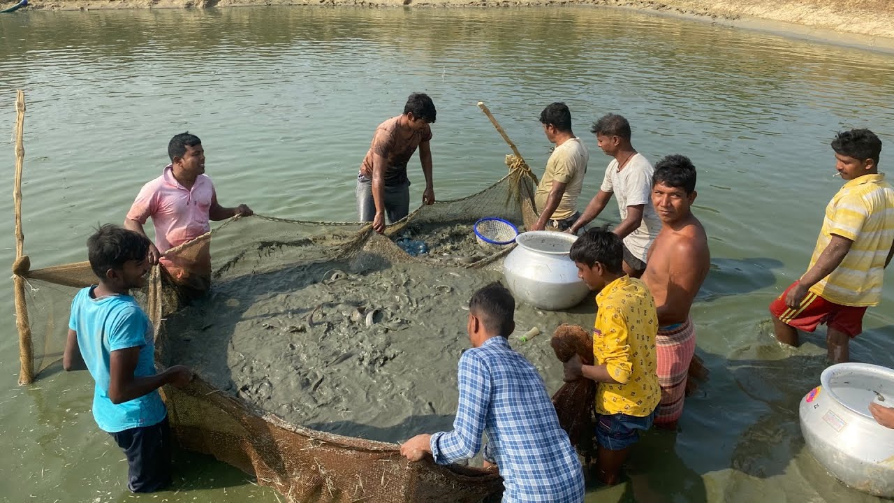 Fishing Video |😲 best net fishing people fish catching in the village ...