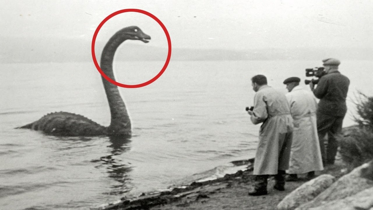 Cientistas Finalmente Resolvem o Mistério do Monstro do Lago Ness ...