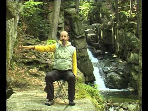 Simple Qigong Exercises - Arm waves seated - YouTube