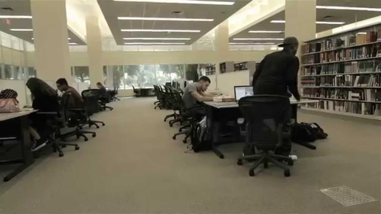 University of Miami Police Department Library Theft - YouTube