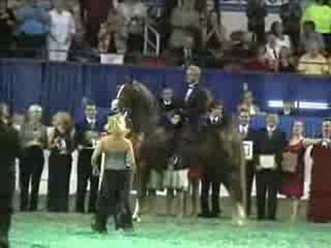 2008 World's Championship Horse Show: Clip 1 - YouTube