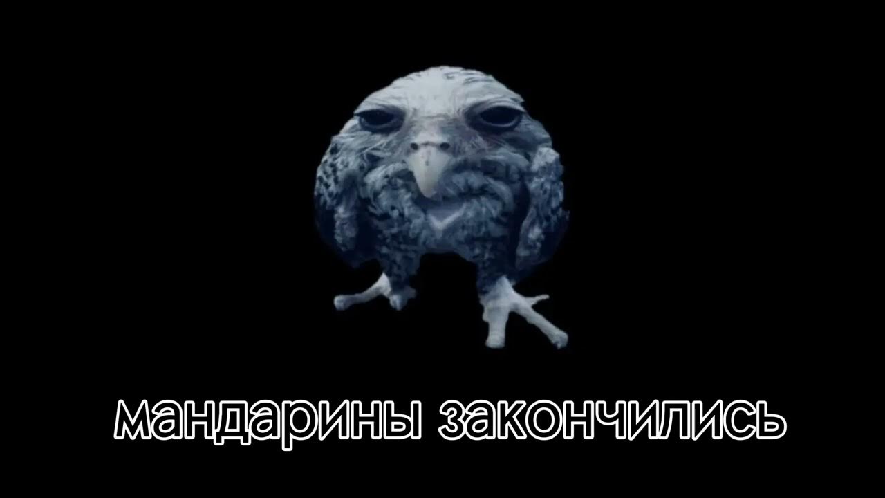 мандарины закончились( - YouTube