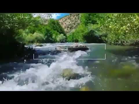 Fikret gezici _klam  Munzur kadar özgür, munzur gibi Aşk ile akmak dileğiyle