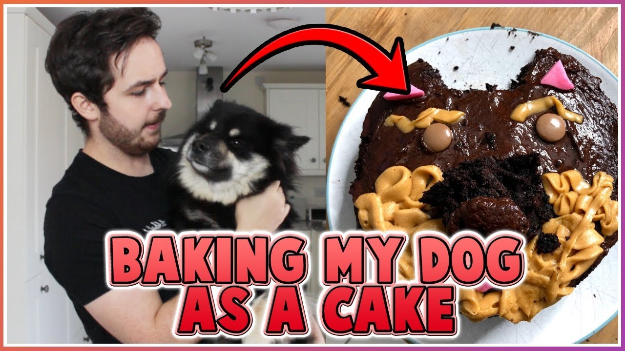Baking My Dog as a Cake! - YouTube