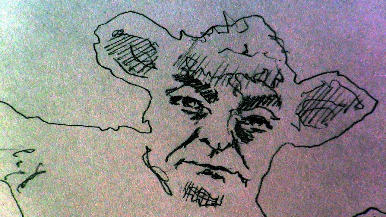 Human Sheep Chimeras - YouTube