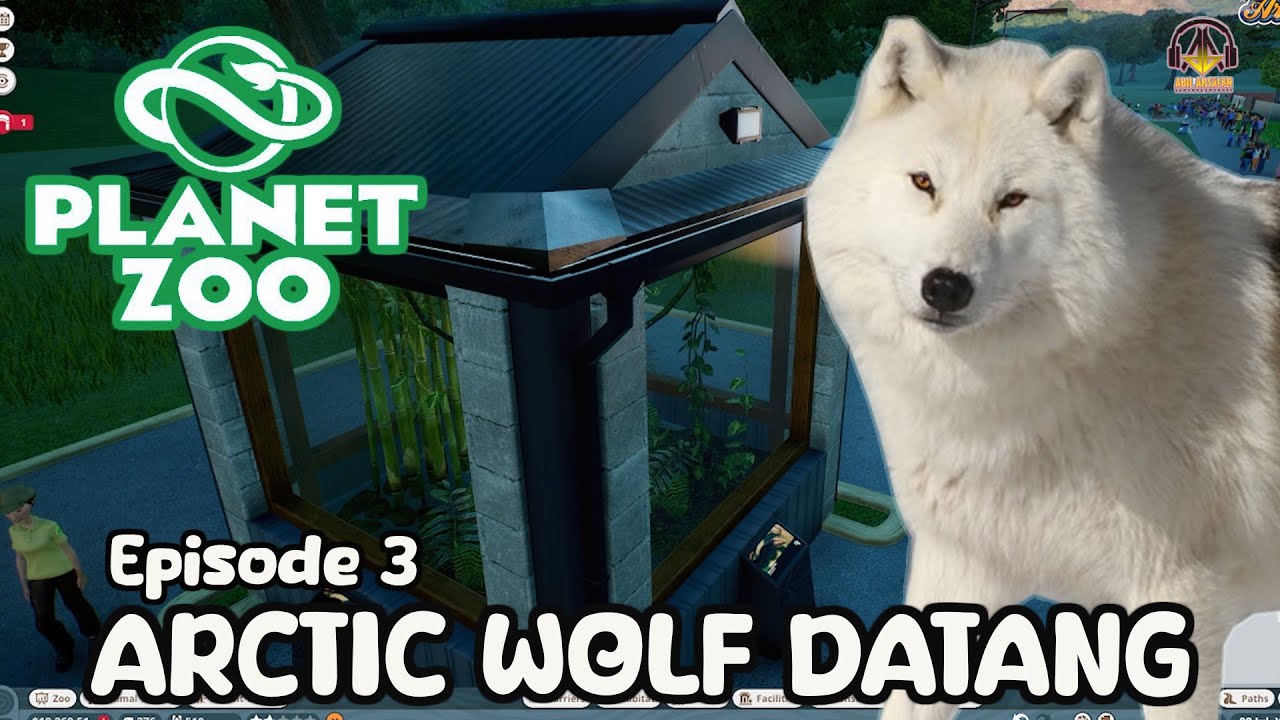 PLANET ZOO ! MEMBUAT HABITAT ARCTIC WOLF - PART #3 - YouTube