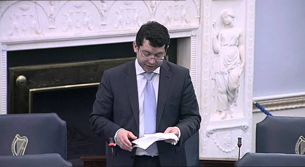 Rónán Mullen addresses the Seanad on concerns over child protection and ...