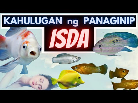 🐟 Kahulugan ng PANAGINIP na ISDA | Ano ang IBIG SABIHIN nanaginip ng ISDA sa tubig, etc. | DREAMS