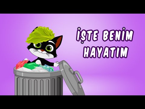 Sokak Kedisi ''İşte Benim Hayatım''🐈‍⬛Eğitici ve Eğlenceli Bebek ve Çocuk Şarkısı🎶Çizgi Film