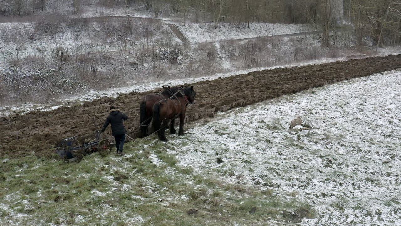 Labour à cheval - YouTube