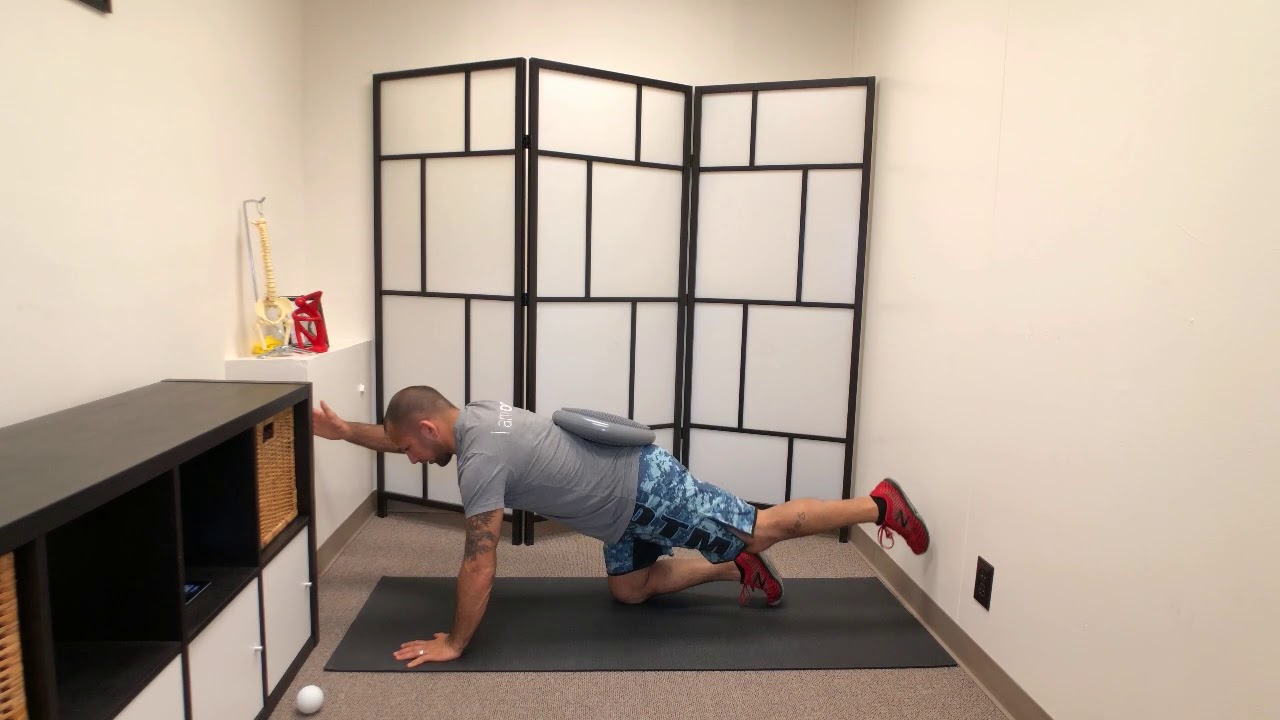 Low Back Exercise Challenge - Advanced Bird Dog - YouTube