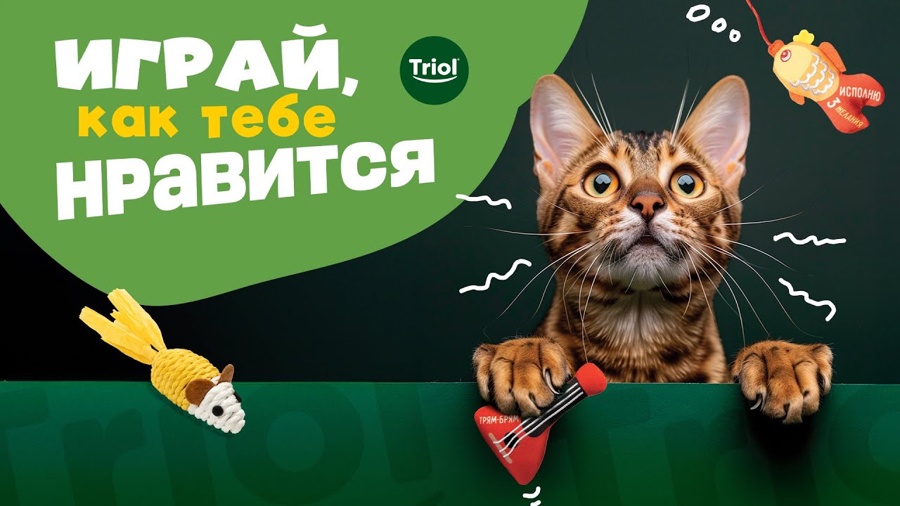 Игрушки для кошек Triol #cat #toys - YouTube