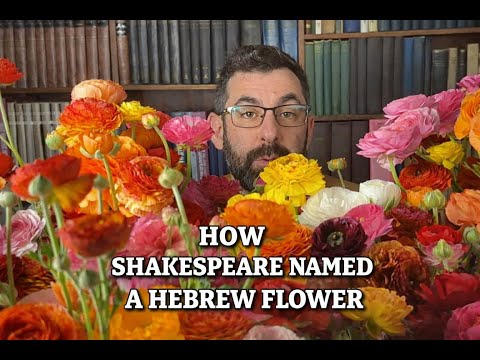 Ophelia's Flower: How Shakespeare's Hamlet Named a Hebrew Wildflower