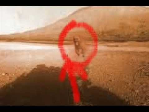 ¡INCREIBLE! EL CURIOSITY CAPTA IMAGEN DE UN PERRO EN MARTE. - YouTube