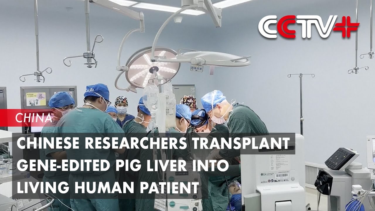 Chinese Researchers Transplant Gene-edited Pig Liver into Living Human ...