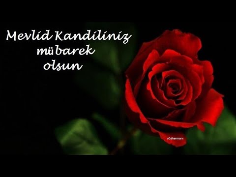 MEVLİD KANDİLİNİZ MÜBAREK OLSUN / WhatsApp Durumu Kandil Mesajı
