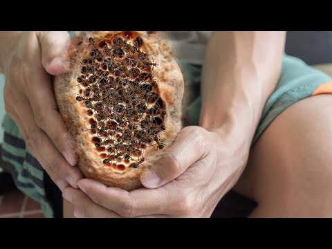 ASMR ANIMATION TREATMENT leg foot knee Treatment | Severely 🤕 loosing ...