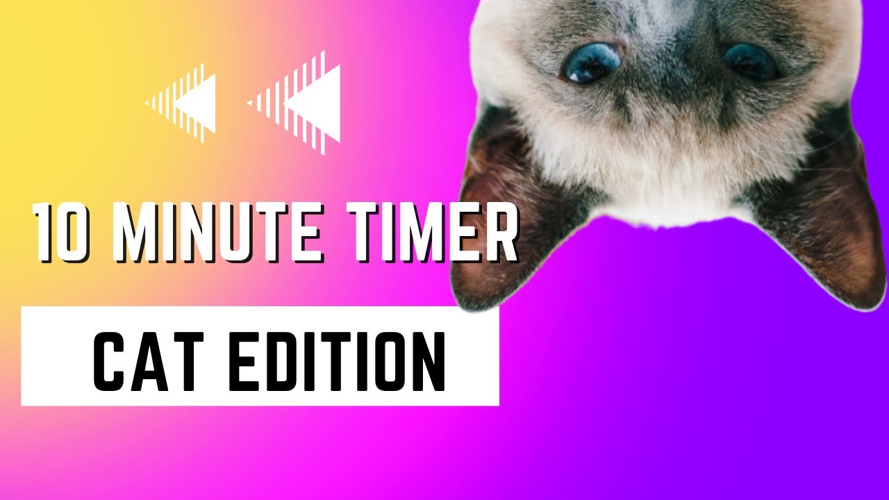 10 Minute Timer - Cats - YouTube