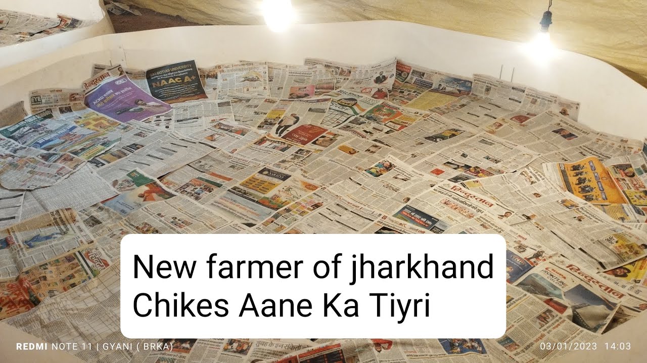 chikes aane#tayri #shalimar group# new farmer of jharkhand new#poultry ...